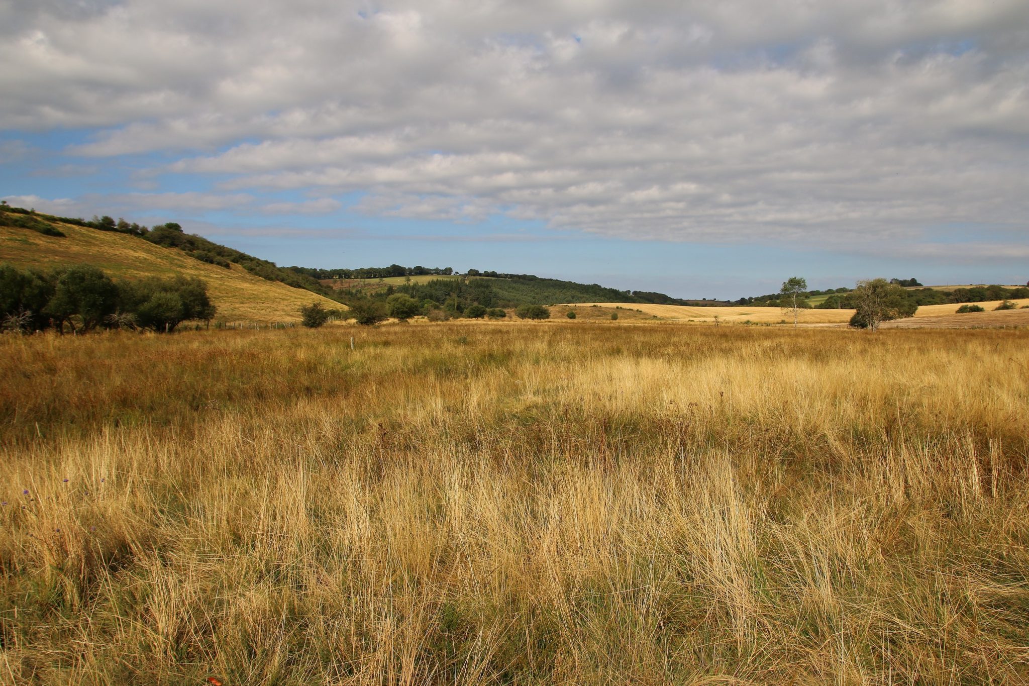 Les zones humides - EPAGE du Bassin Viaur